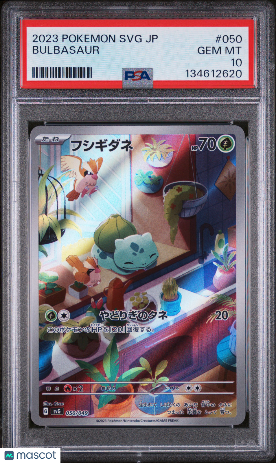 2023 Pokemon Japanese SVG-Venusaur & Charizard & Blastoise Special Dec ...